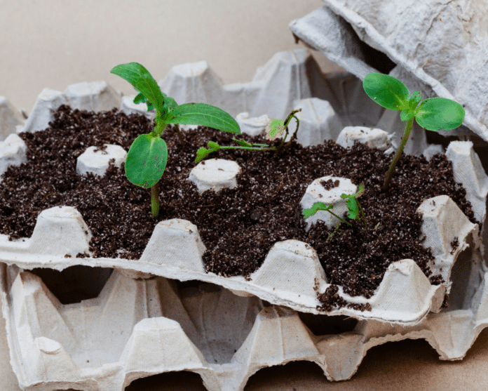 Genius Recycling Projects Perfect for Earth Day