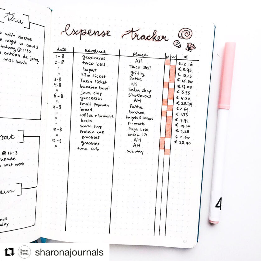 10 Budget Bullet Journal Ideas to Get Your Finances on Track