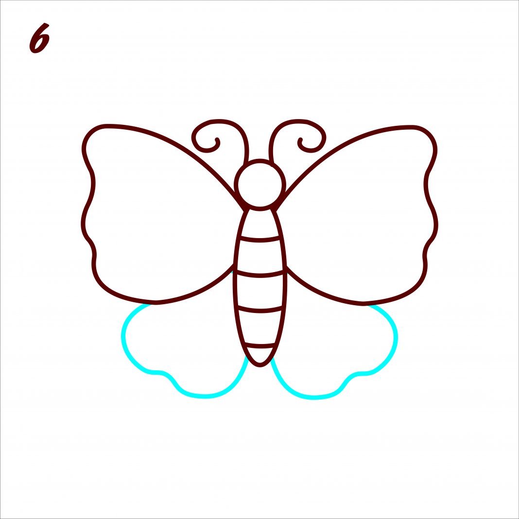 How to Draw a Butterfly: Step-by-Step Simple Butterfly Drawing [Video]