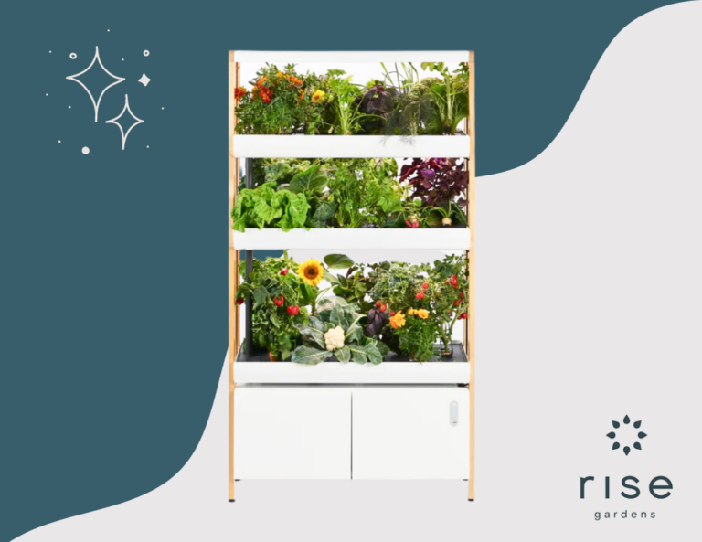 Grow Stunning Plants Year-Round With an Indoor Rise Garden