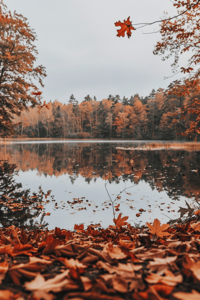 60+ Fall Aesthetic Scenes That Capture the Beauty of Autumn