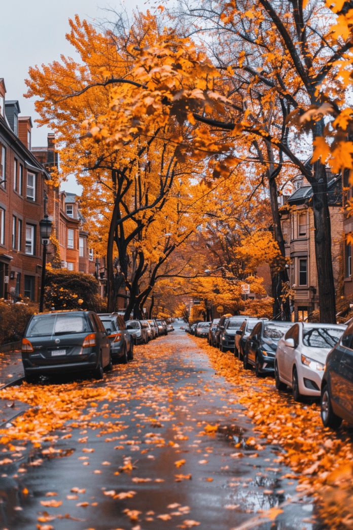 60+ Fall Aesthetic Scenes That Capture the Beauty of Autumn