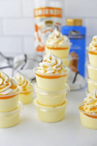 26 Fall Jello Shots That'll Spice Up Your Autumn Party!