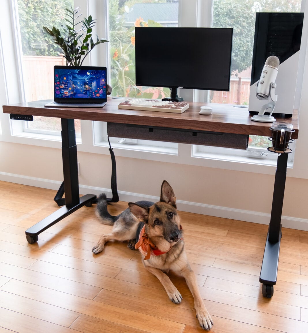UPLIFT V3 Standing Desk Review (Walnut Wide-Plank)