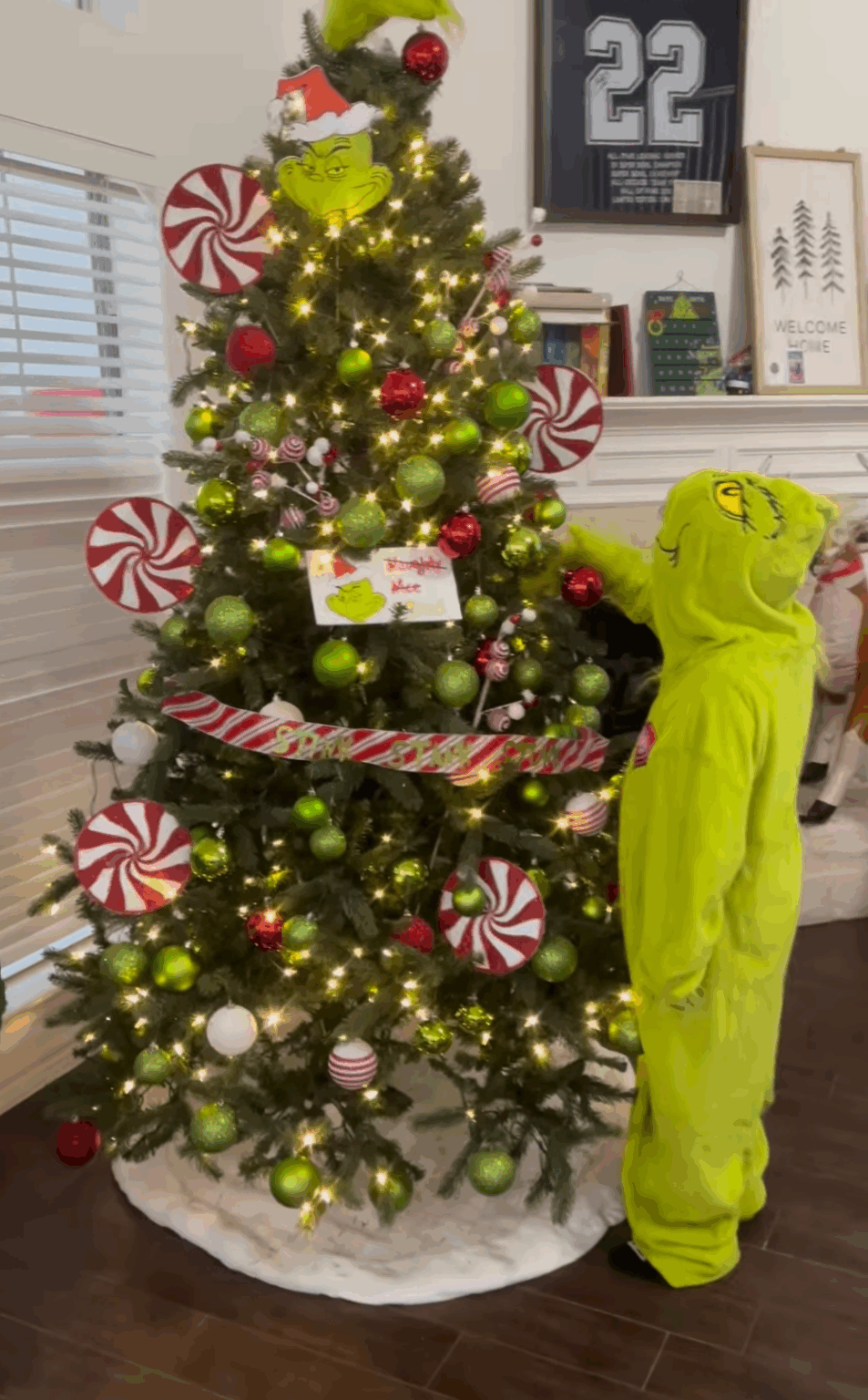 18 Whimsical Grinch Christmas Tree Ideas